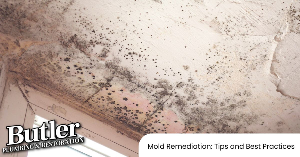 Mold Remediation: Tips and Best Practices